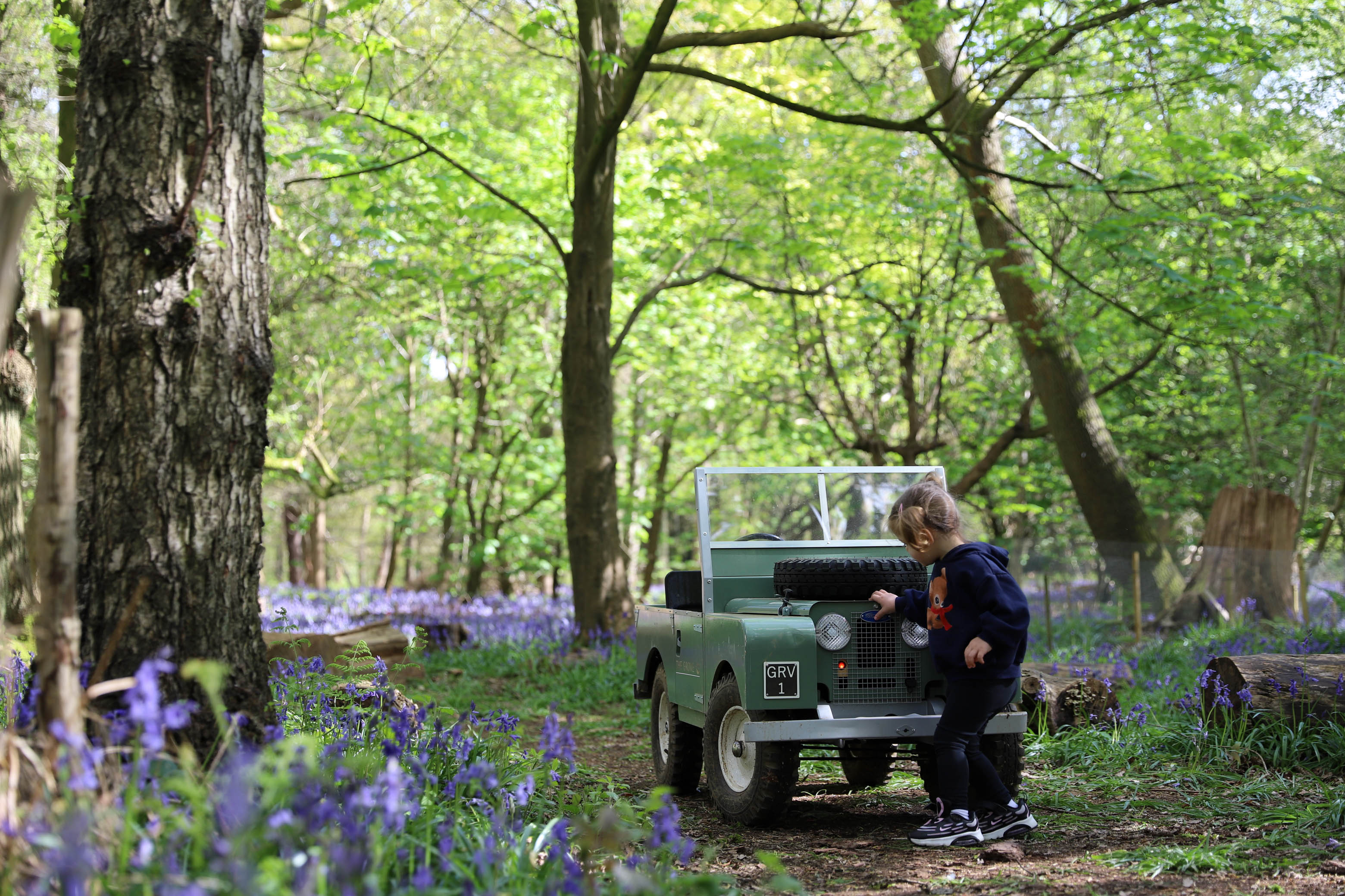 Mini Off Road Explorer - The Grove